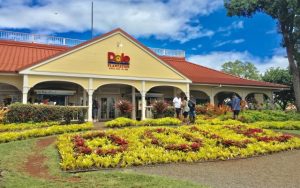 【2025年最新版】「はじめてのハワイ」にぴったりの王道プラン！安心して楽しめるアクティビティ5選 | ハワイ旅行に役立つ最新情報が満載「オリ ...